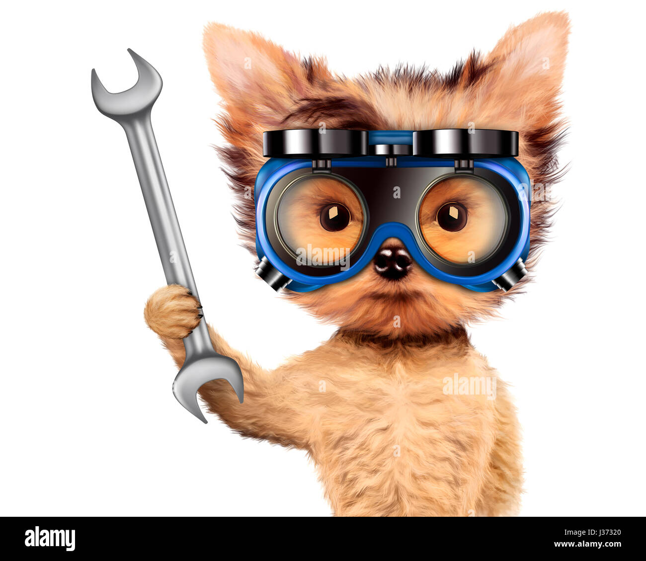 Funny dog with wrench isolated on white Stock Photo - Alamy