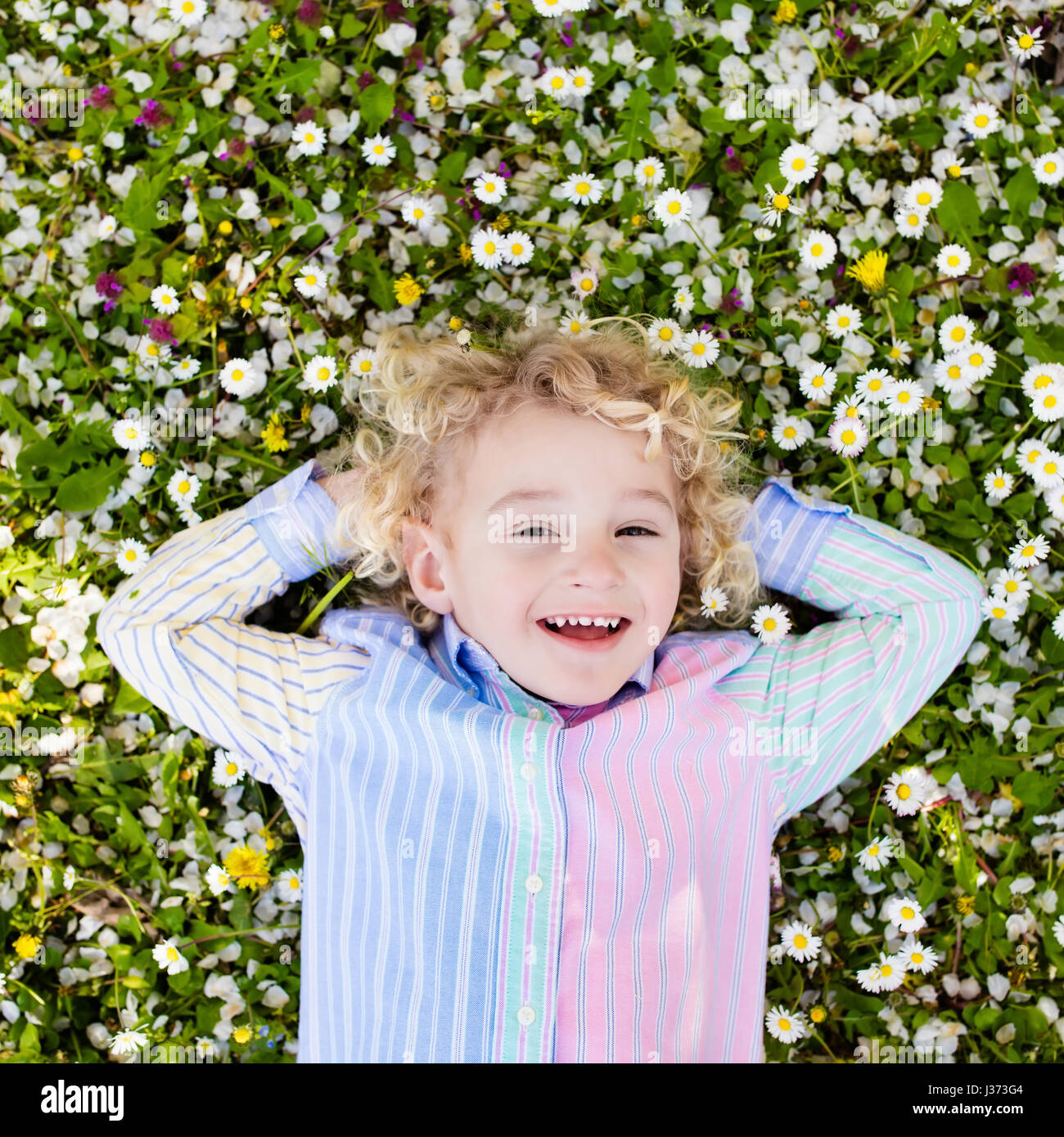 Child on green grass lawn with daisy and dandelion flowers on sunny ...