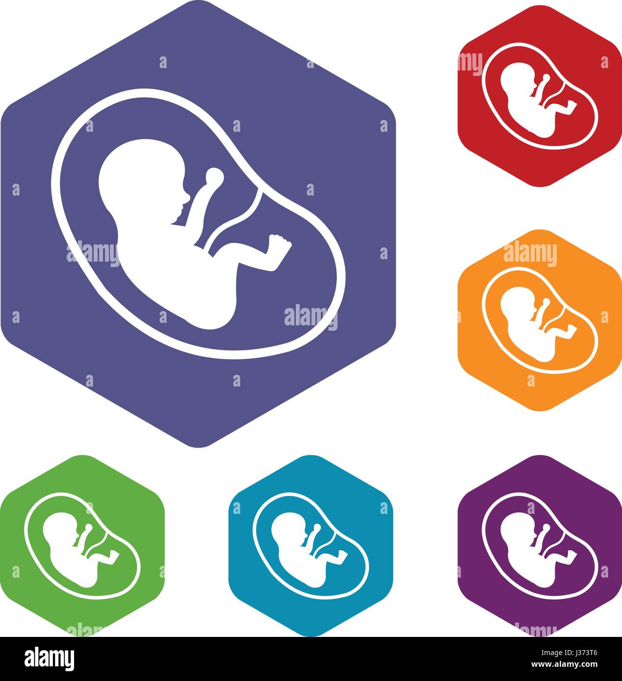 Fetus icons set hexagon Stock Vector Image & Art - Alamy