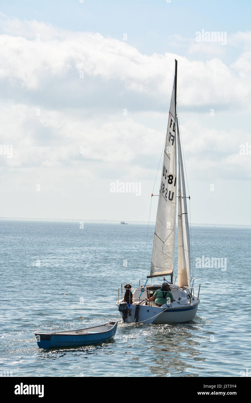 A man and his best friend, a chocolate labrador sailing, pulling a ...