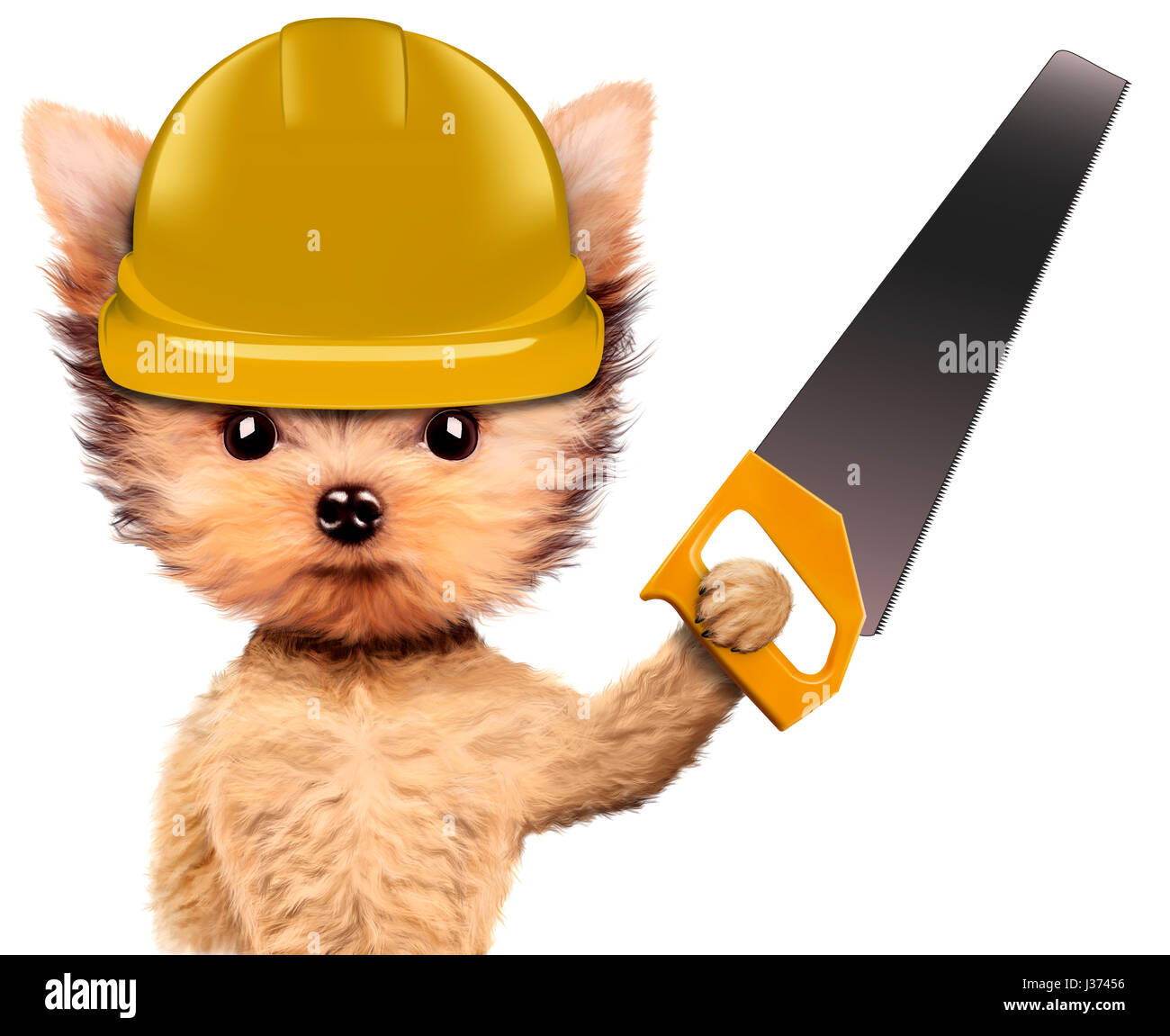 Funny dog with saw Isolated on white Stock Photo - Alamy