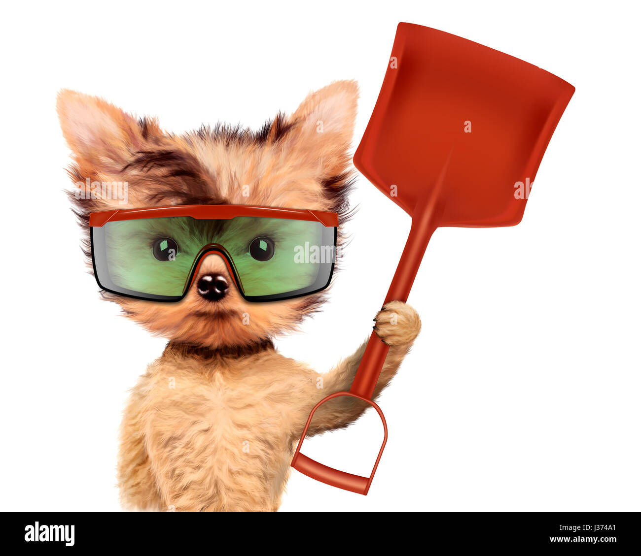 Funny dog shovel isolated on hi-res stock photography and images - Alamy