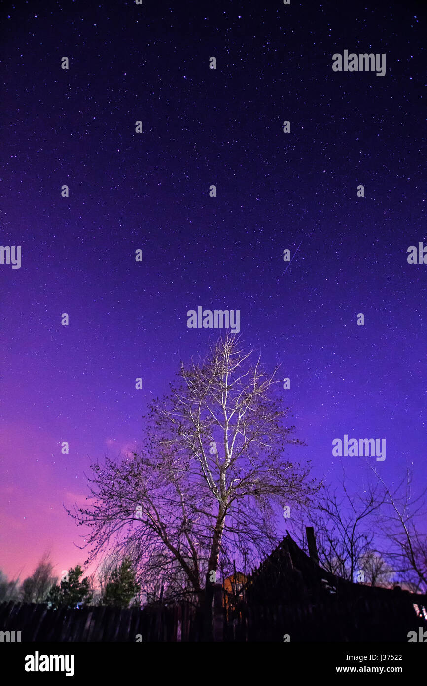 Starry night sky over tree and small house Stock Photo - Alamy