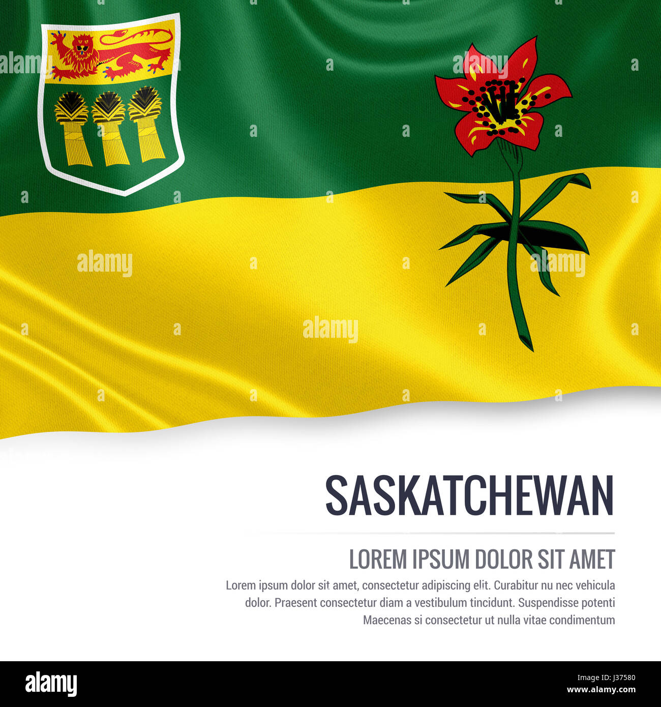 Canadian state Saskatchewan flag waving on an isolated white background ...