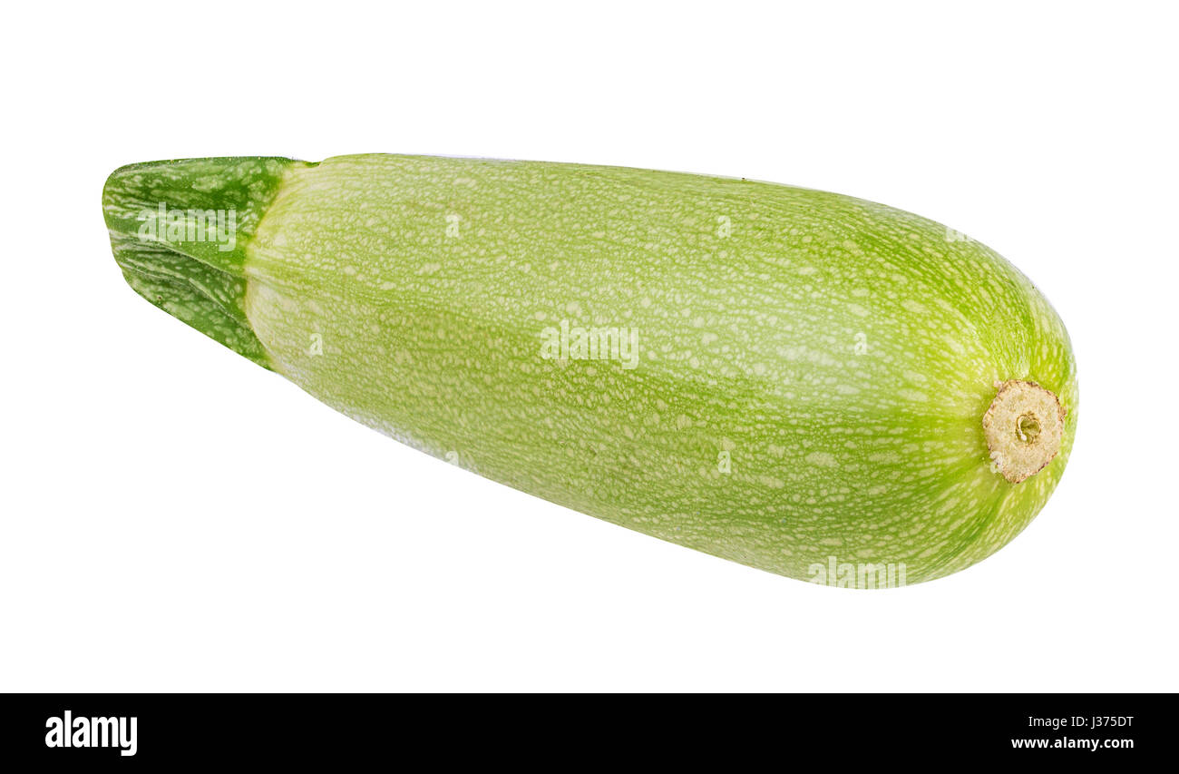 Fresh vegetable marrow isolated on white background Stock Photo - Alamy