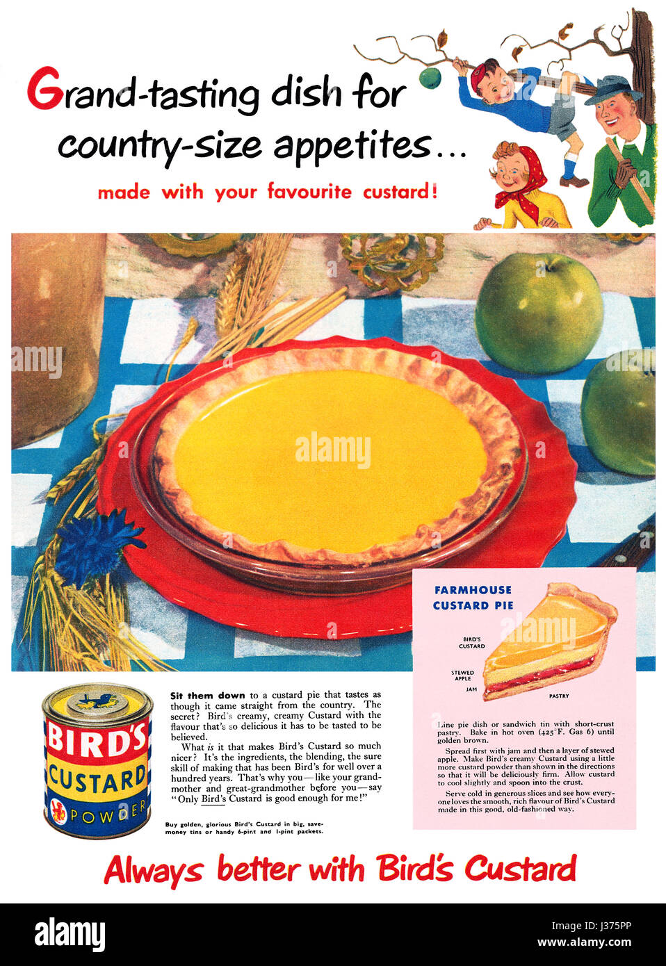 1953 British advertisement for Bird's Custard Powder, featuring a ...
