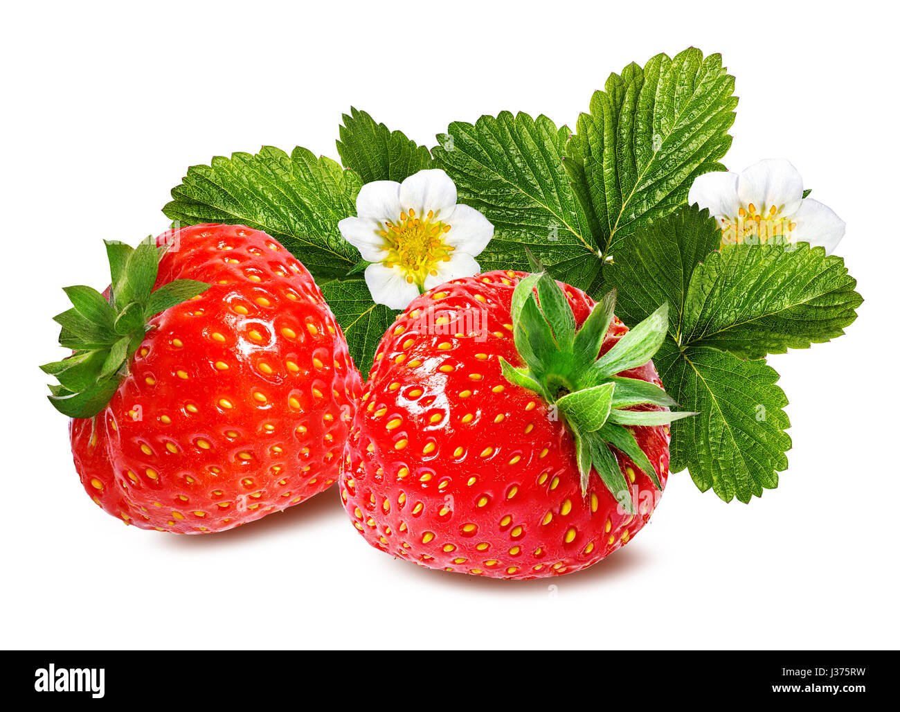 Strawberry on white background Stock Photo - Alamy