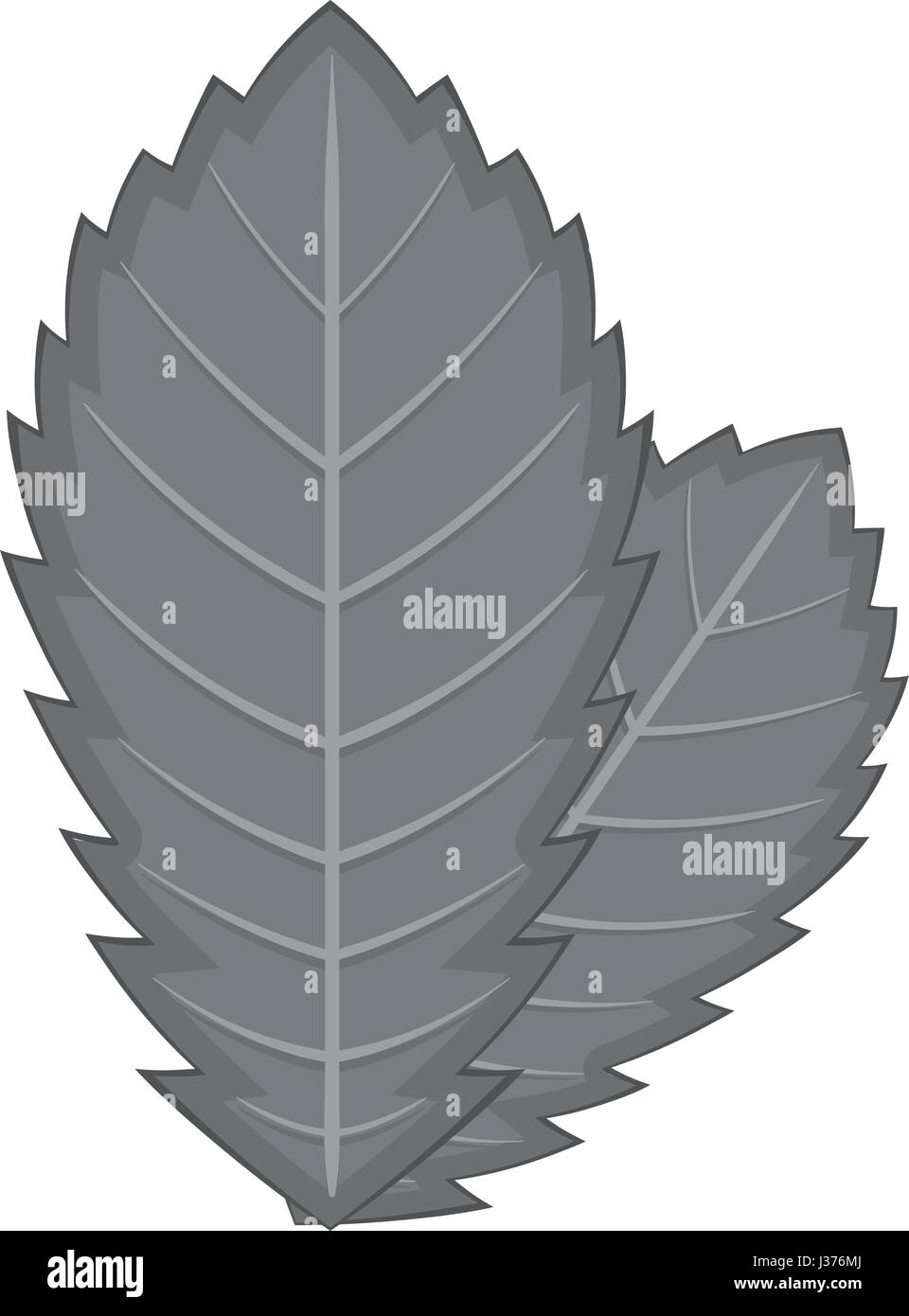 Elm leaf icon monochrome Stock Vector Image & Art - Alamy