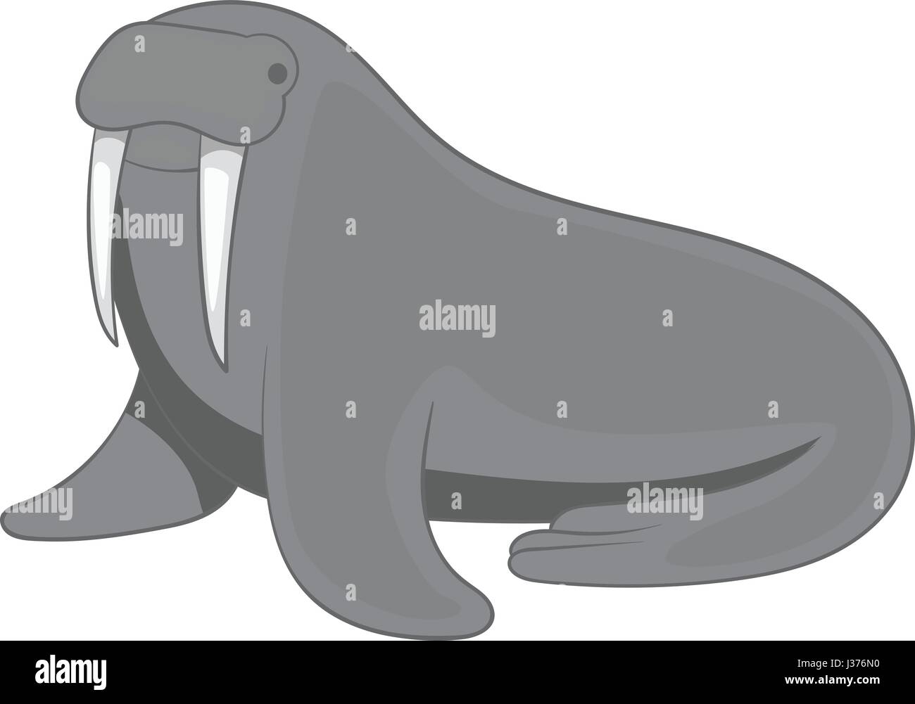 Big teeth walrus hi-res stock photography and images - Alamy