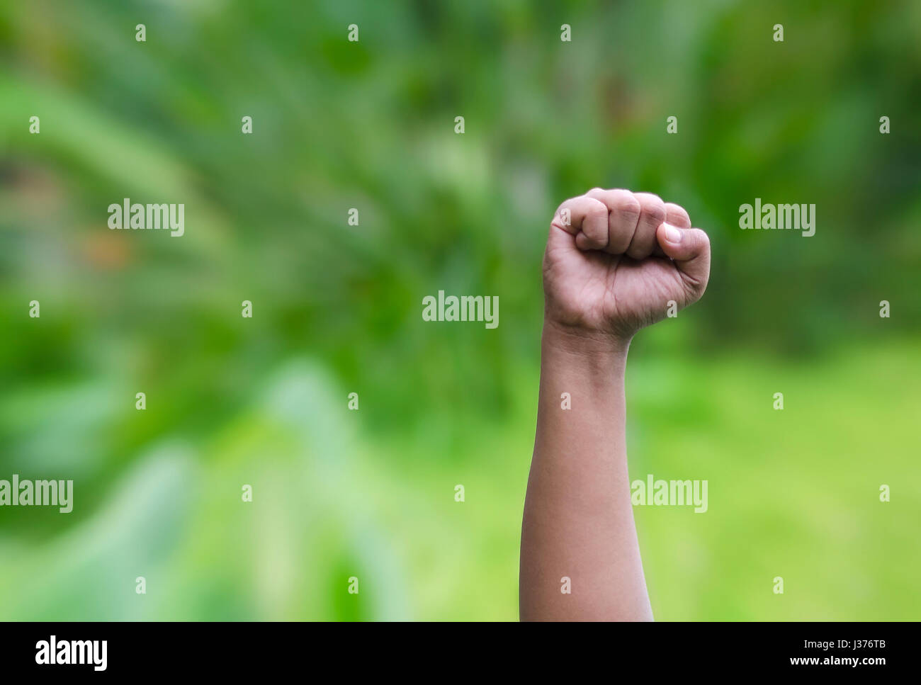 Raised fist on green hi-res stock photography and images - Alamy