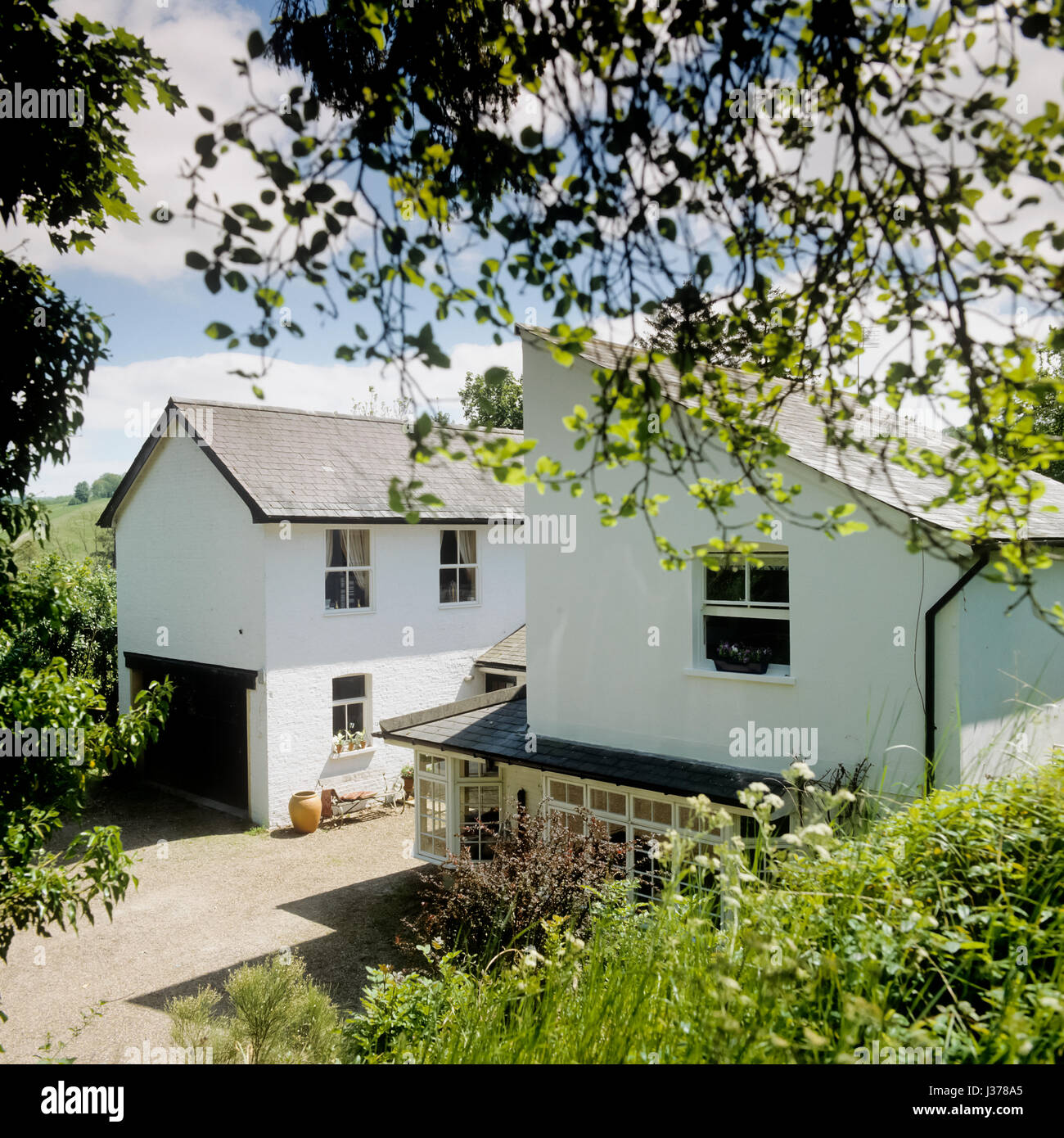 Trees beside house Stock Photo - Alamy