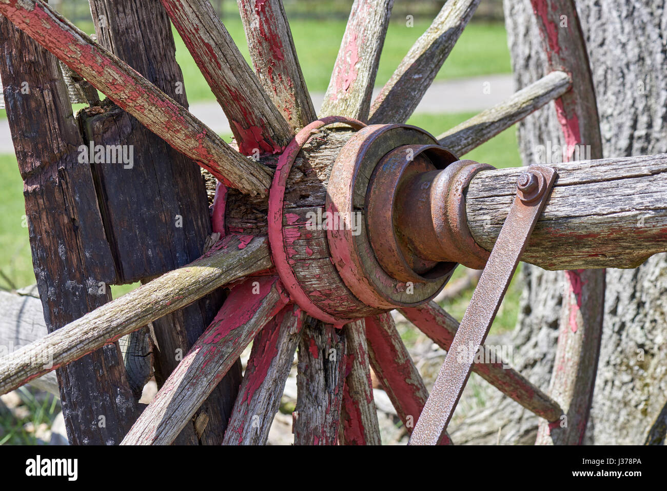 conestoga wagon wheel resting against split-rail fence in barnyard ...