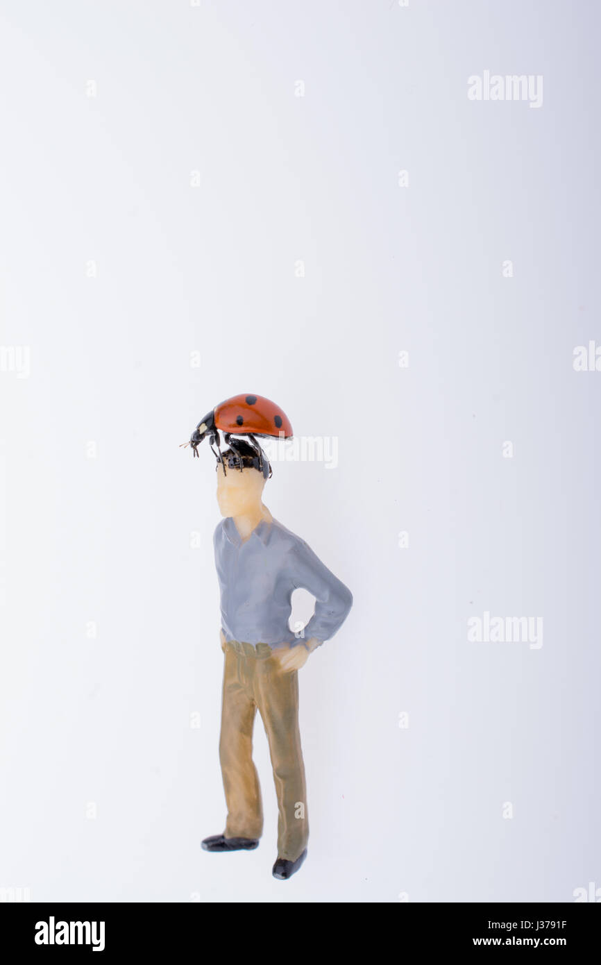 Ladybug walking on body of figurine man Stock Photo - Alamy