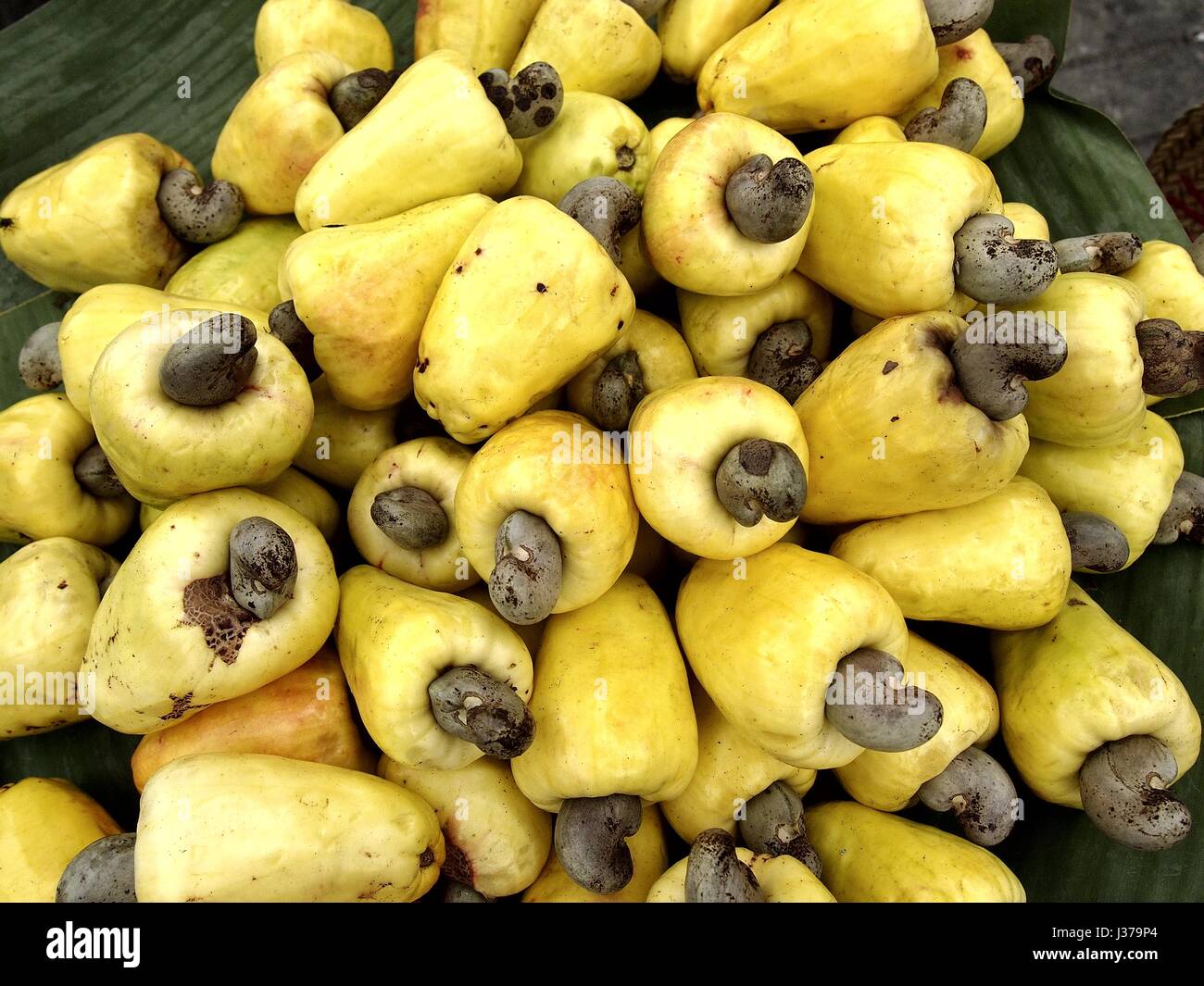 Kasuy hi-res stock photography and images - Alamy