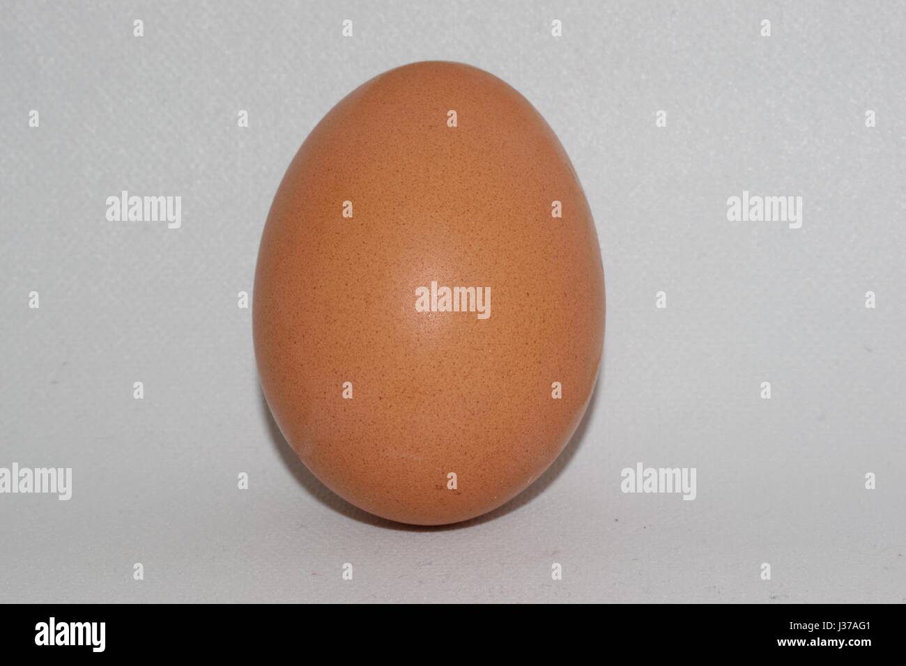 Eggshell ellipse hi-res stock photography and images - Alamy