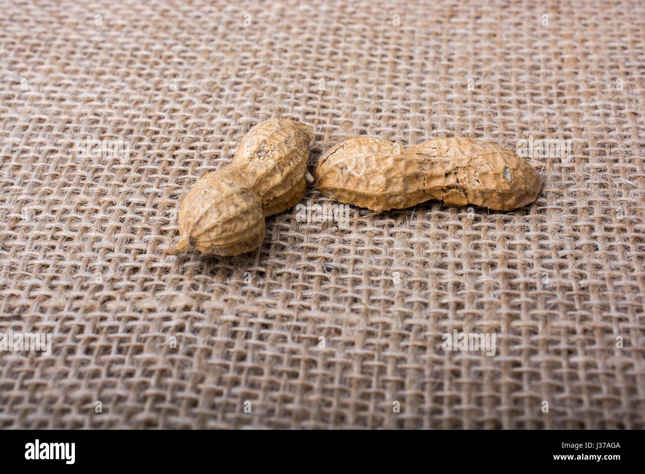 Peanuts in a shell on linen canvas background Stock Photo - Alamy