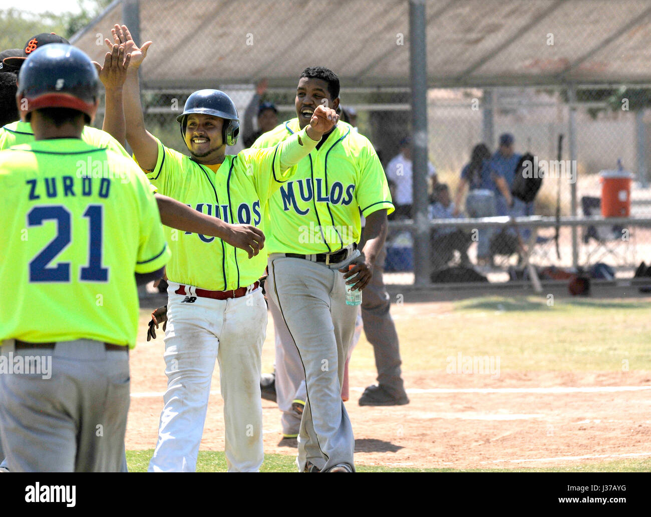 The Mulos and the Cubs, teams with Mexican League baseball, play a ...