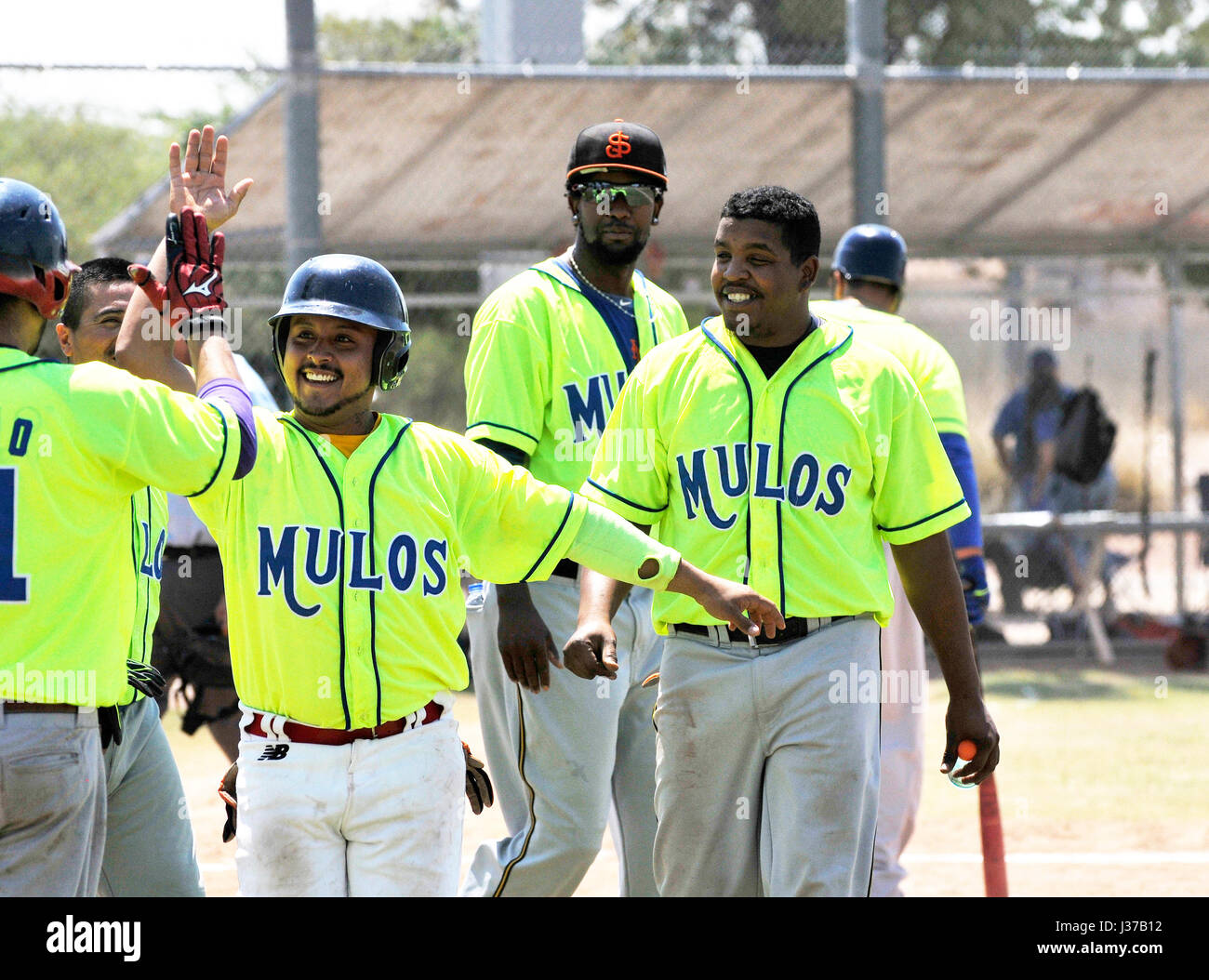 The Mulos and the Cubs, teams with Mexican League baseball, play a ...
