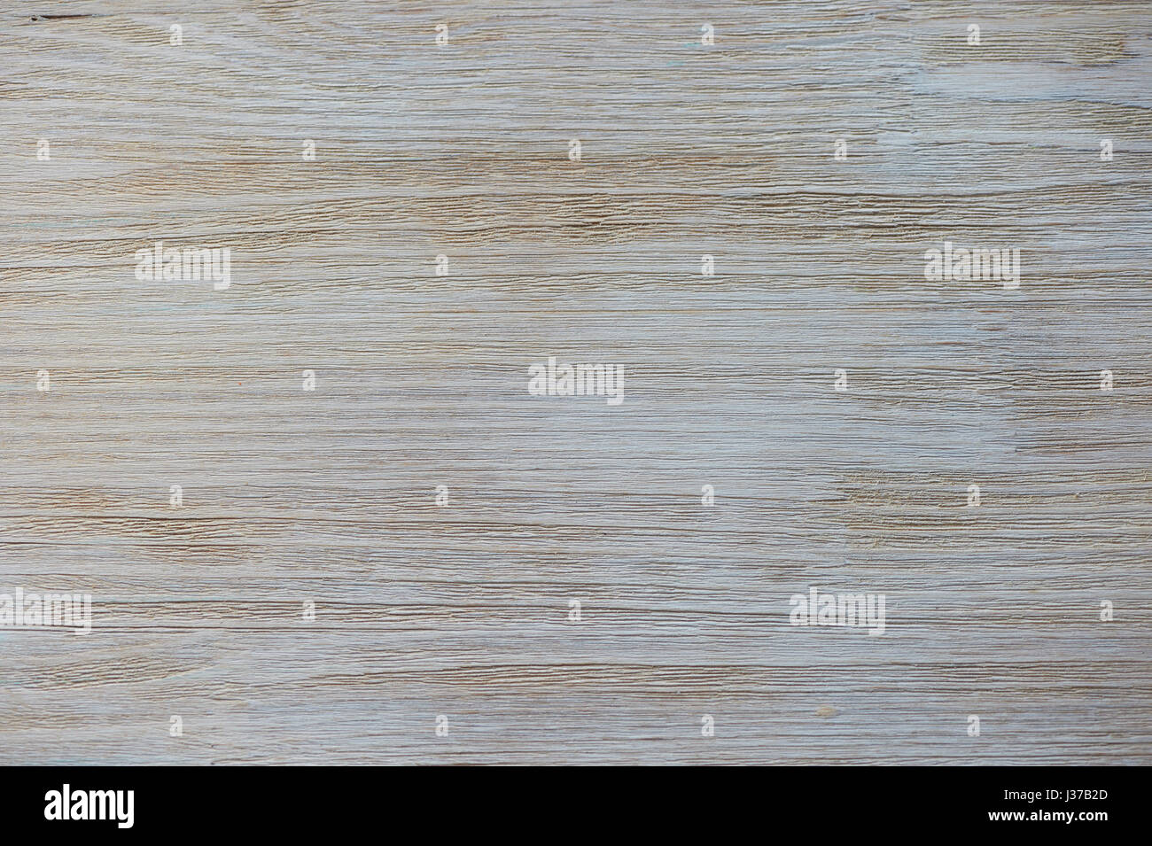 Light wood texture. Bleached oak. The texture is close Stock Photo - Alamy