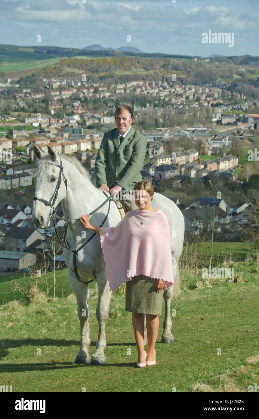 The horse hawick hi-res stock photography and images - Alamy