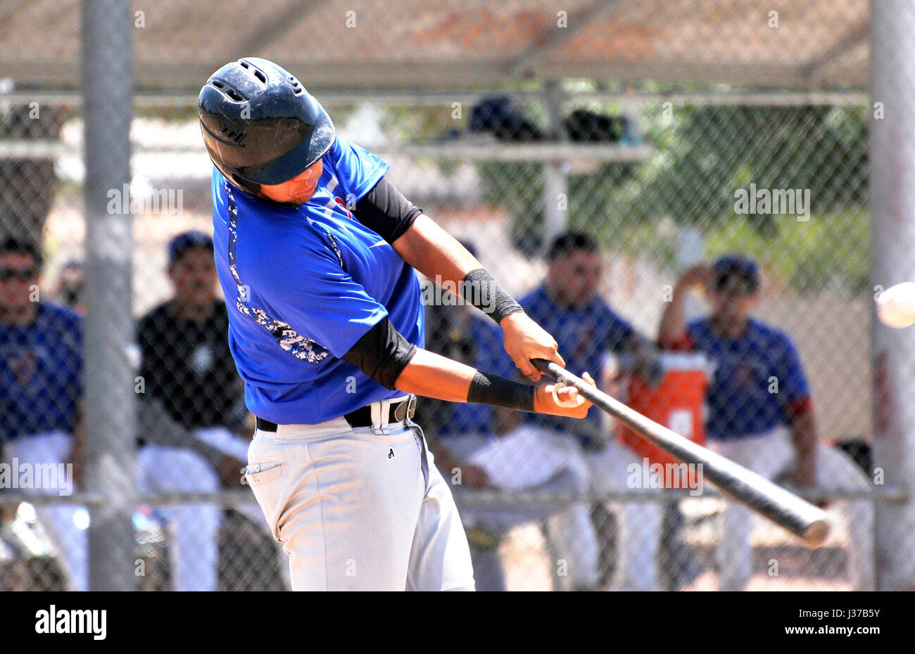 The Mulos and the Cubs, teams with Mexican League baseball, play a ...