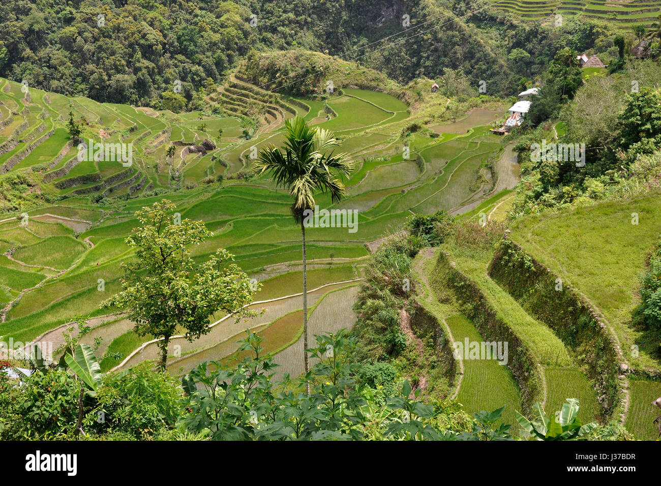 Philippines, North region, landscape Stock Photo - Alamy
