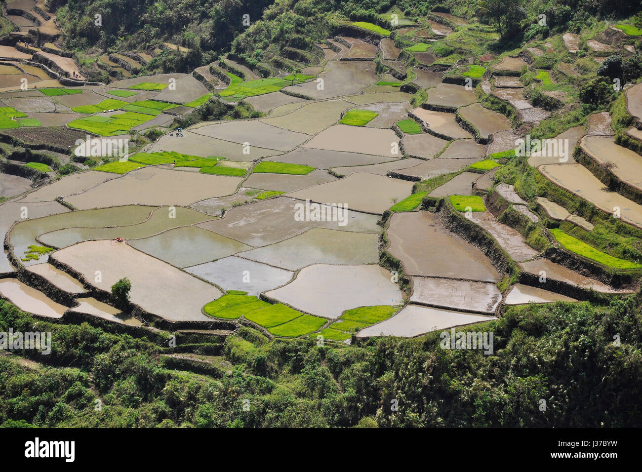 Philippines, North region, landscape Stock Photo - Alamy