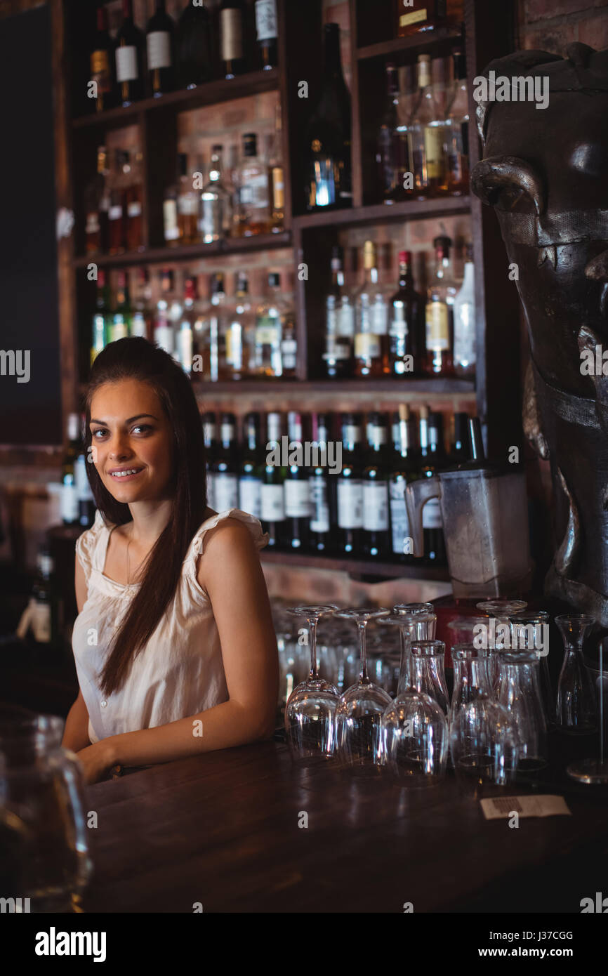 Portrait of beautiful female bar tender standing at bar counter Stock ...