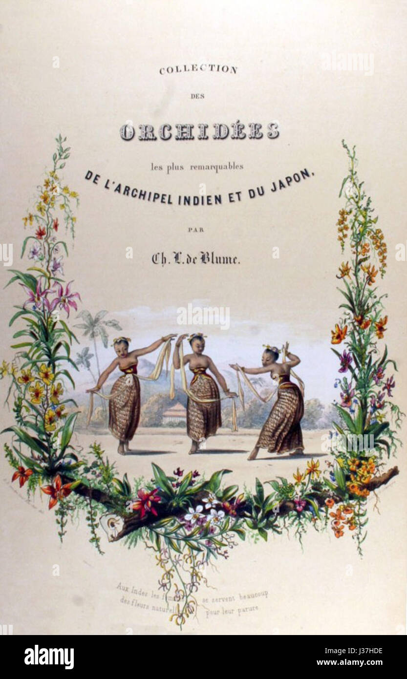 Blume stock photography hi-res stock photography and images - Alamy