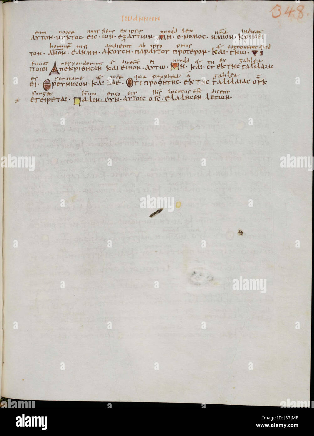 Sangallensis hi-res stock photography and images - Alamy