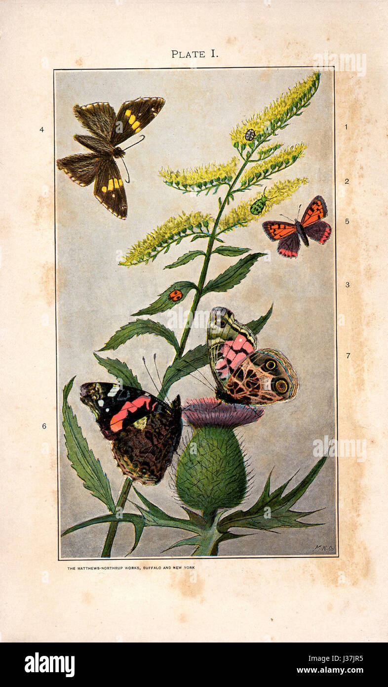 Comstock map hi-res stock photography and images - Alamy