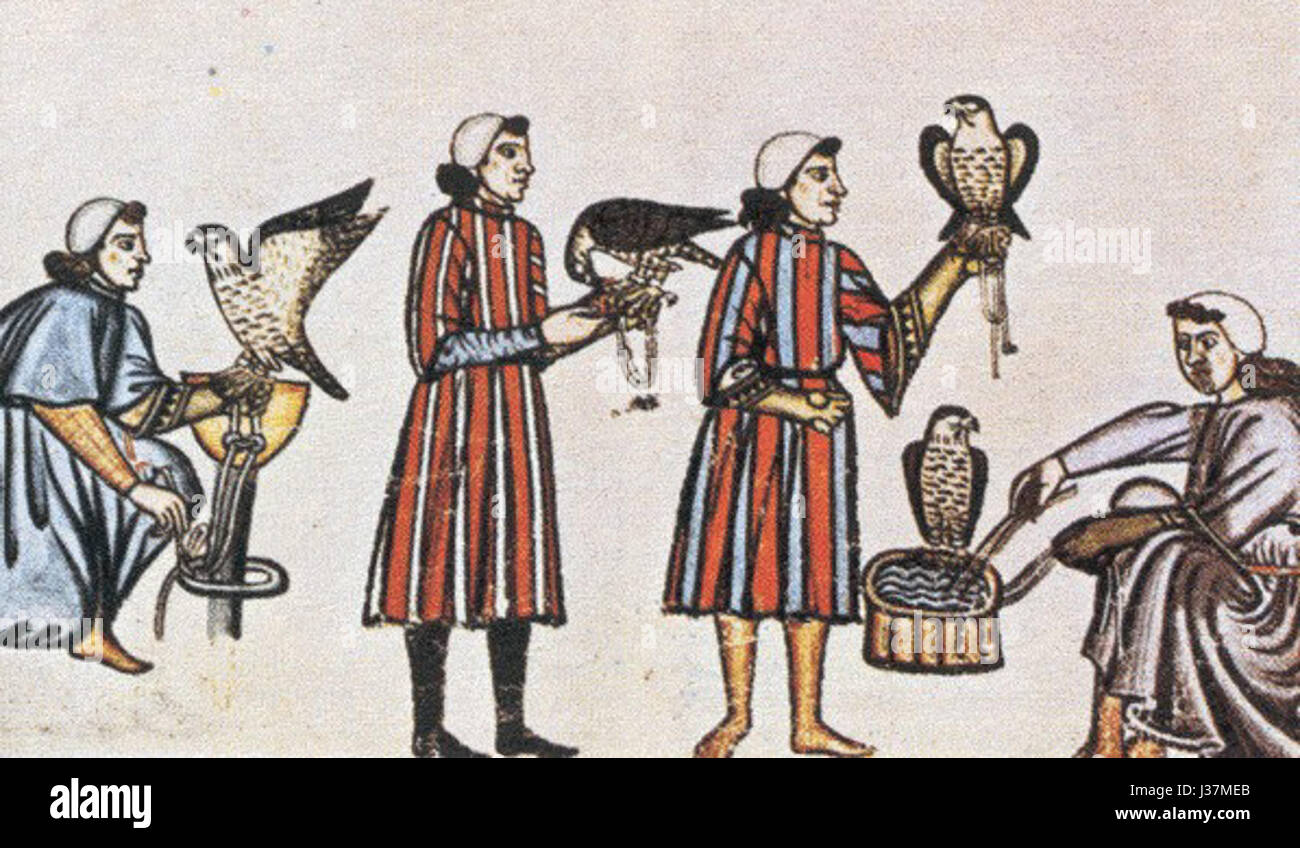 'De arte venandi cum avibus' is a treatise on falconry, written by ...