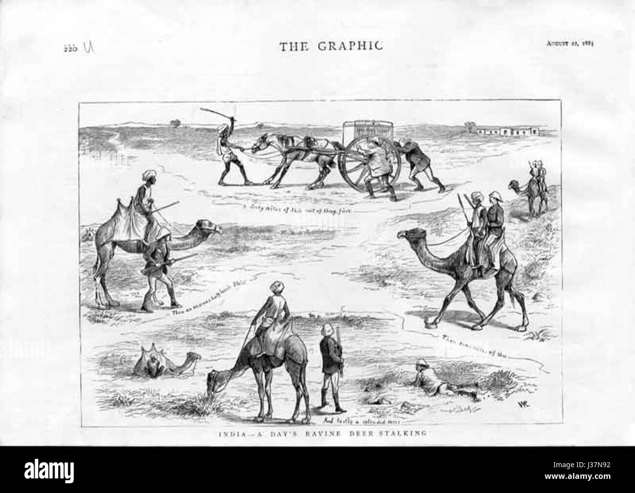 Natural capture of a deer hi-res stock photography and images - Alamy