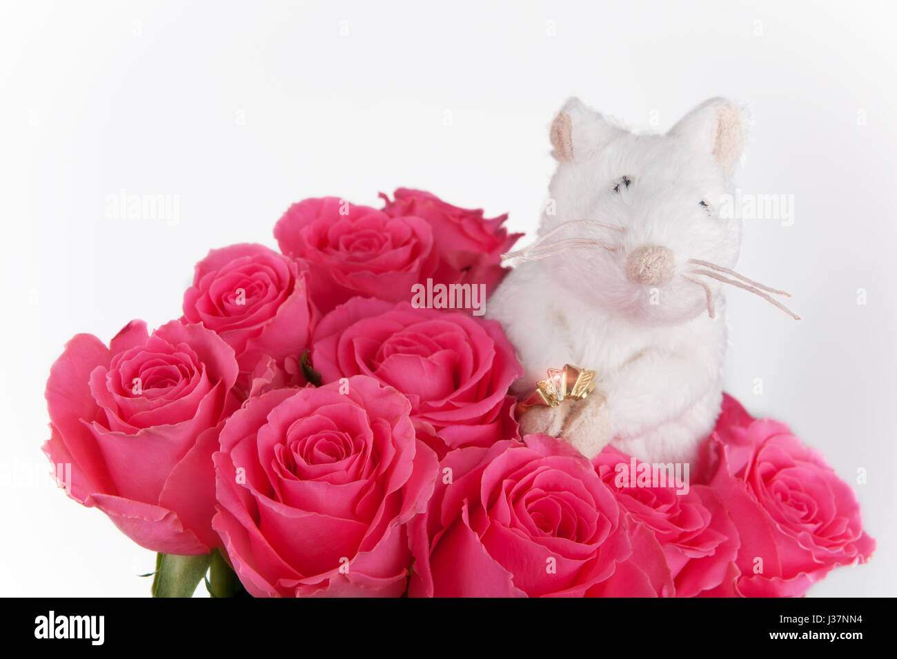 Happy mouse hi-res stock photography and images - Alamy