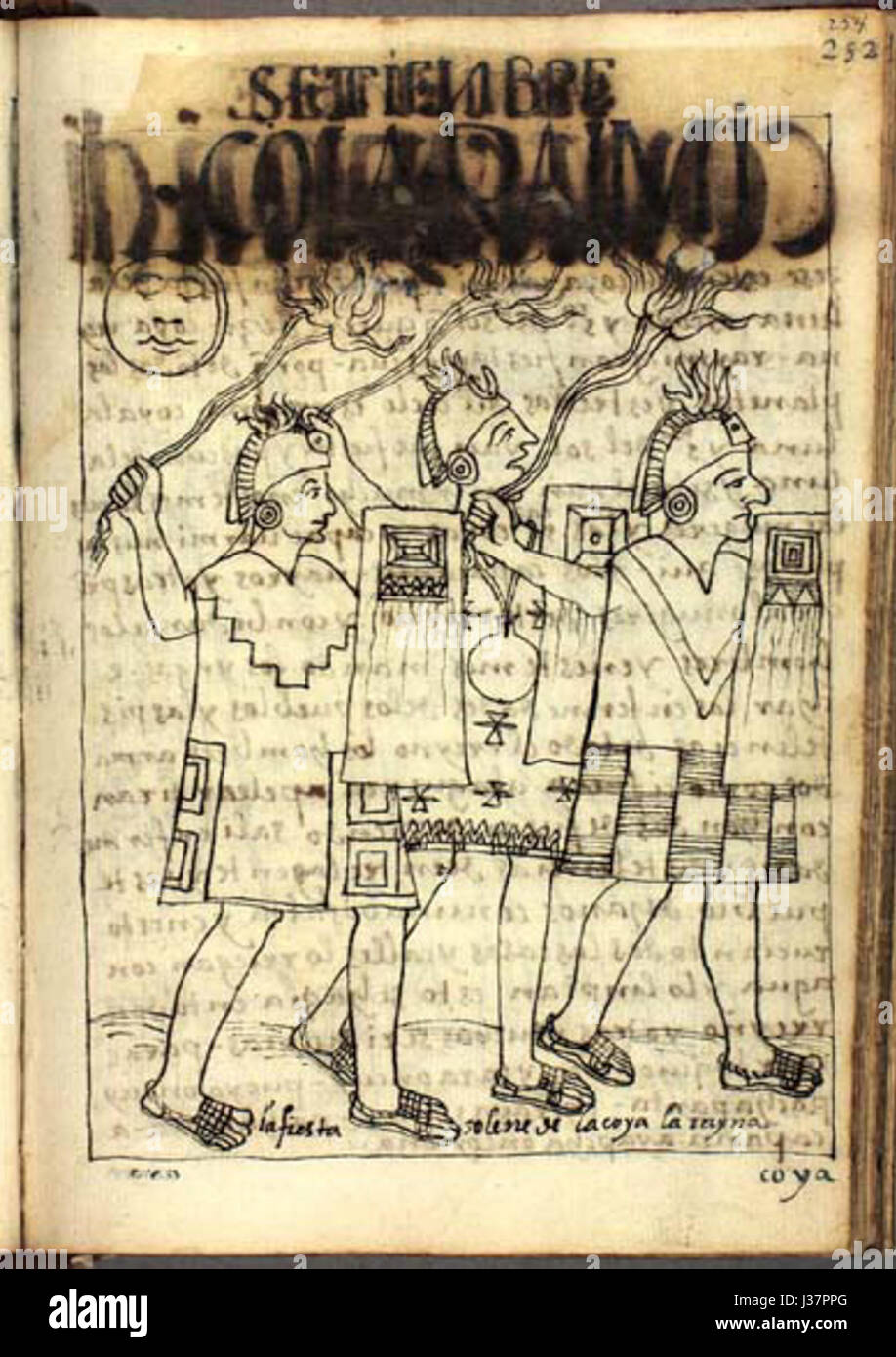 Coya hi-res stock photography and images - Alamy