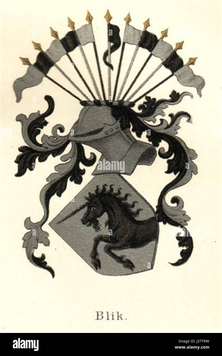 The coat of arms titled *Blik* likely refers to a heraldic symbol or ...