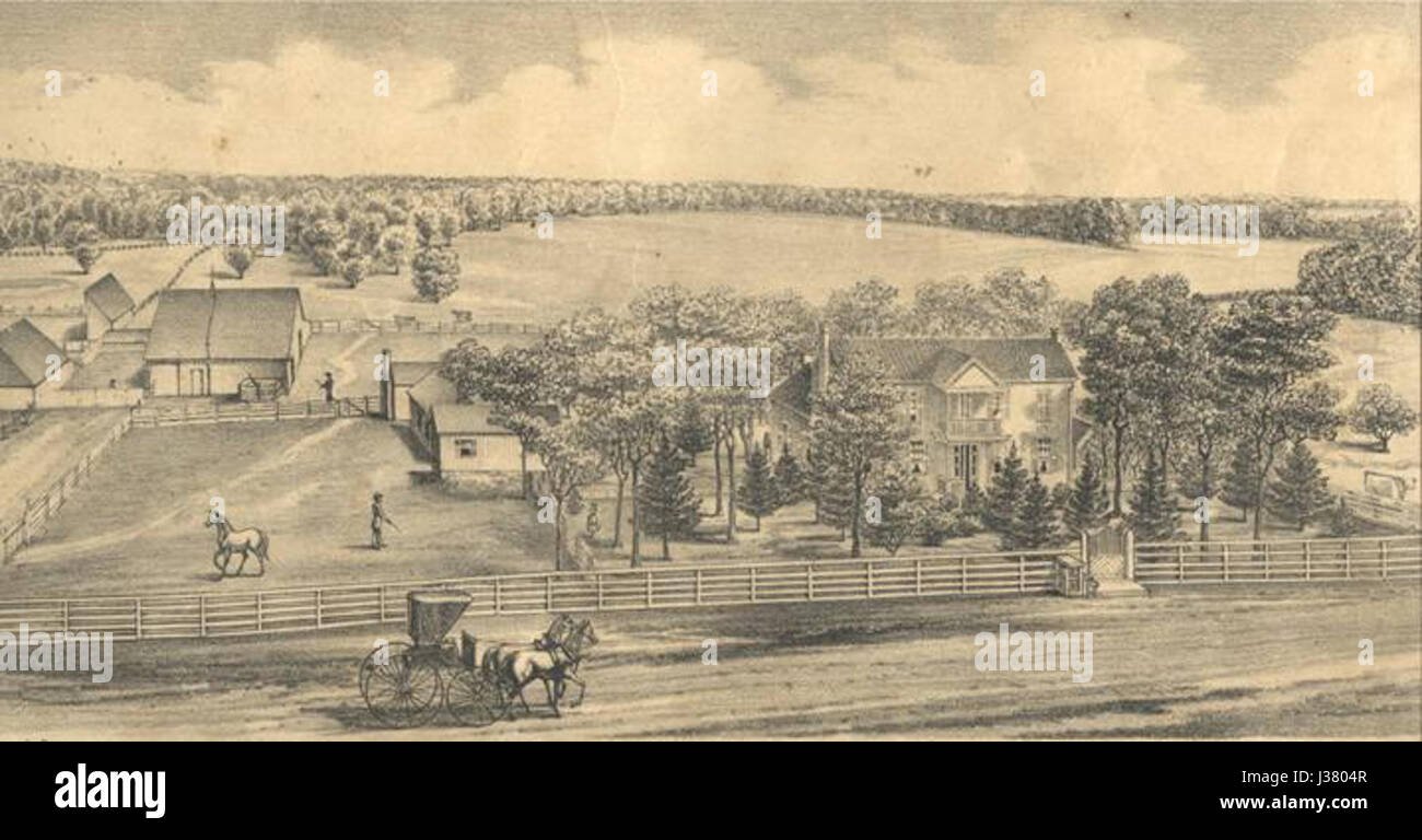 Cooper County plantation Stock Photo - Alamy