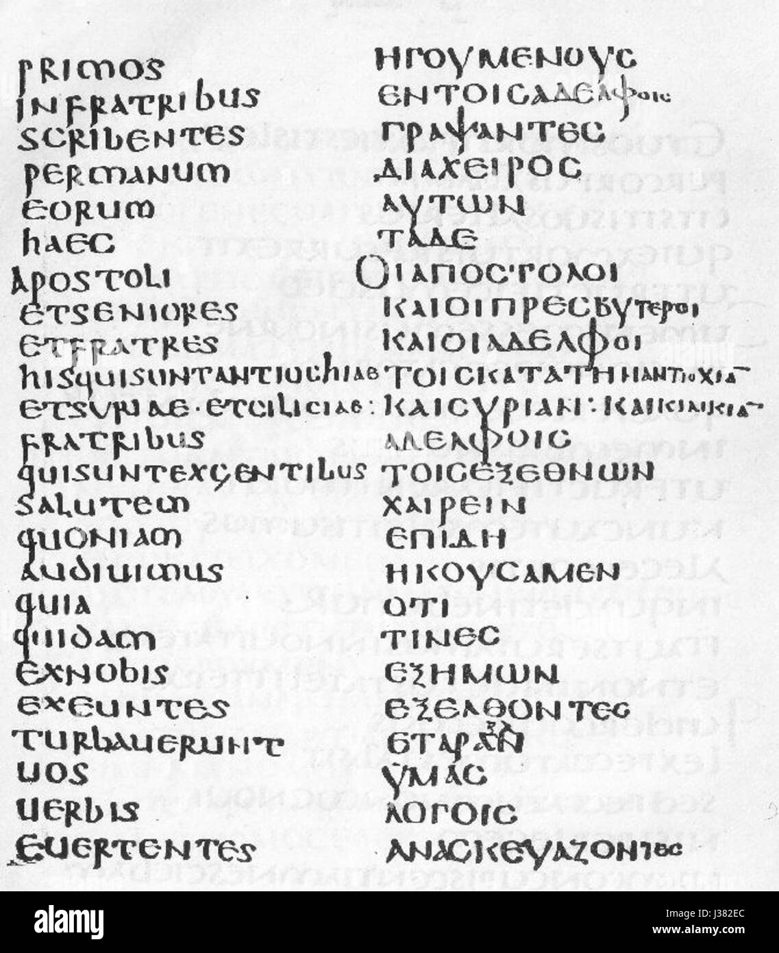 Codex Black and White Stock Photos & Images - Alamy