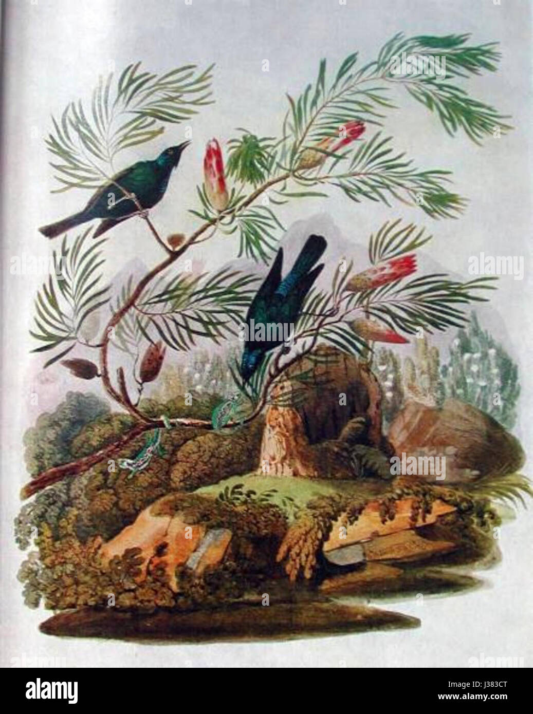 Christopher Webb Smith00 Stock Photo - Alamy