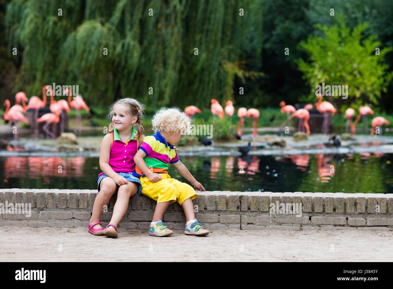Kids watch animals and birds at the zoo. Children watching wild life at ...