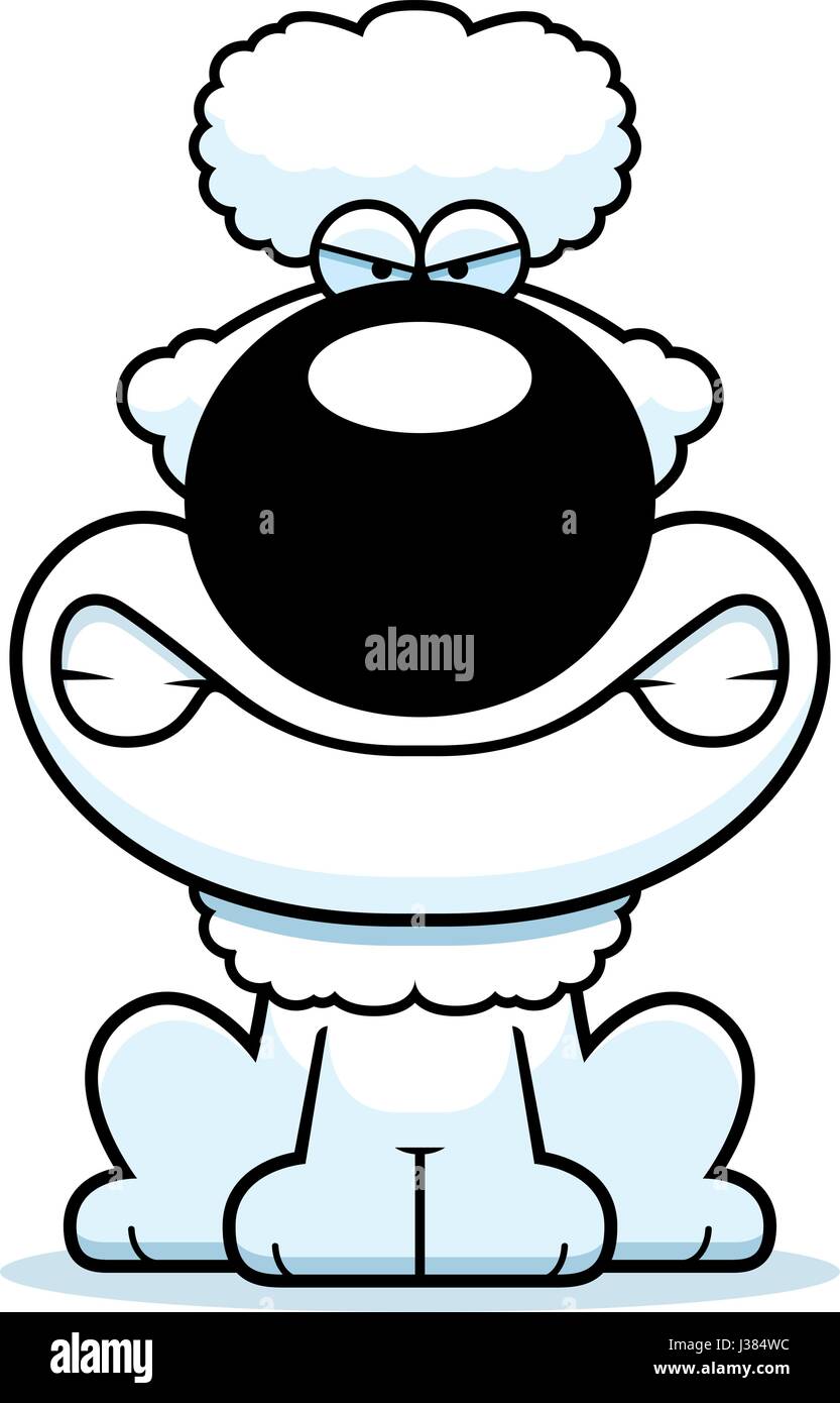 A cartoon illustration of a poodle looking angry Stock Vector Image ...