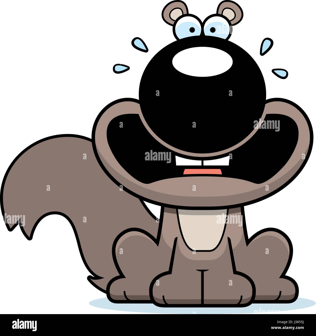 Frightened squirrel hi-res stock photography and images - Alamy