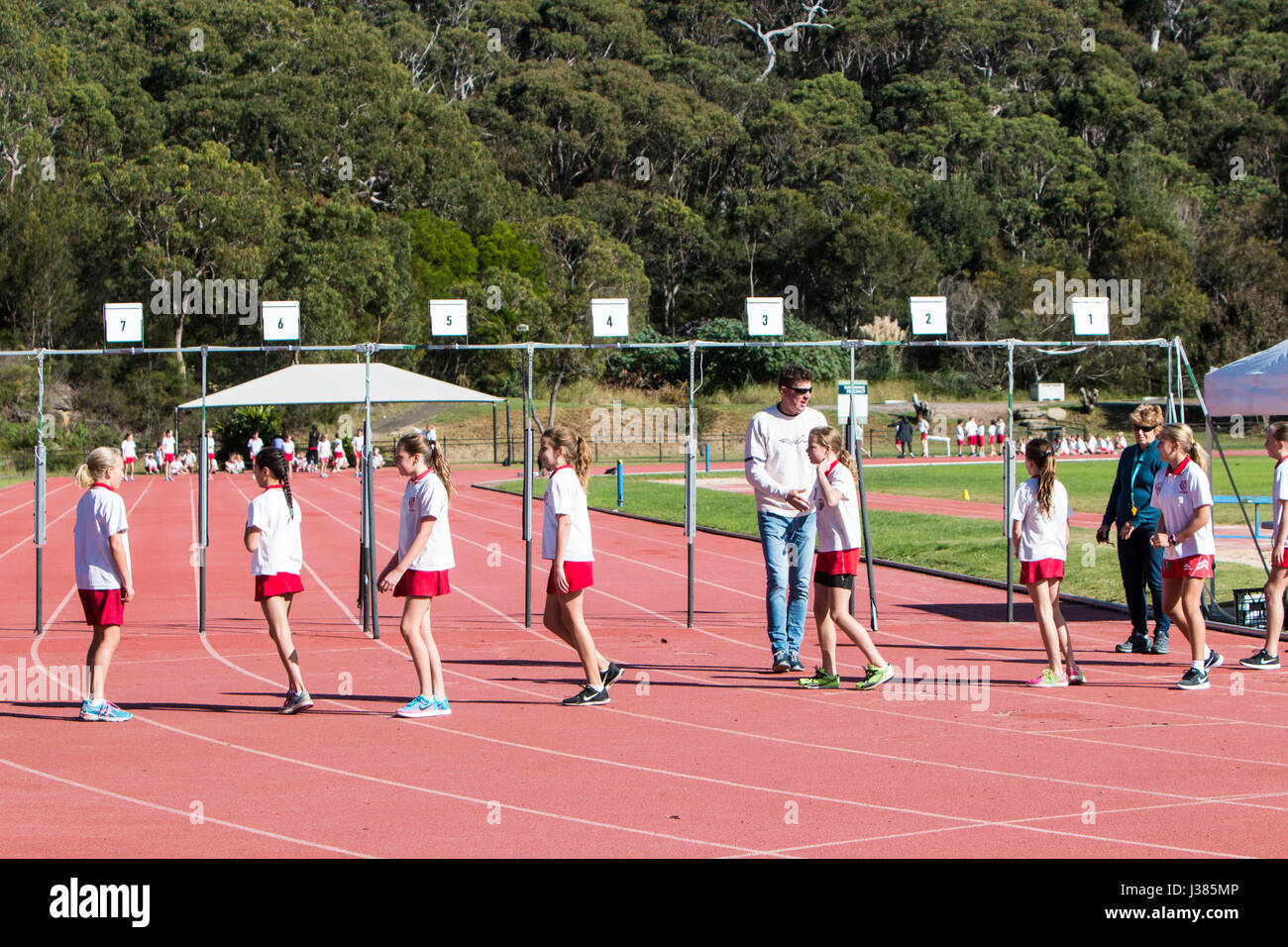 Primary school australian children participating in their primary ...
