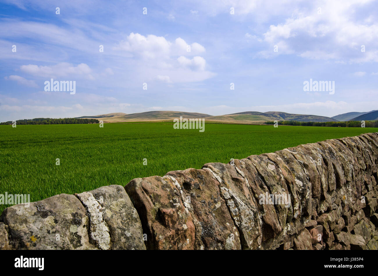 A green field surrounded by old stone wall in Scotland with Pentlands ...
