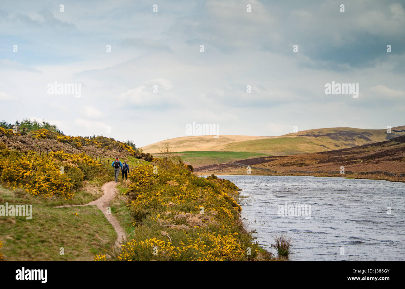 Pentland Hills High Resolution Stock Photography and Images - Alamy
