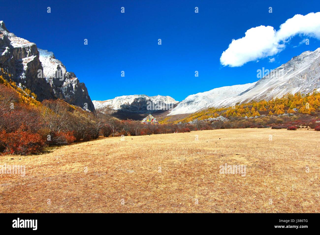 The Autumn at Yading Nature Reserve in Daocheng County ,China Stock ...