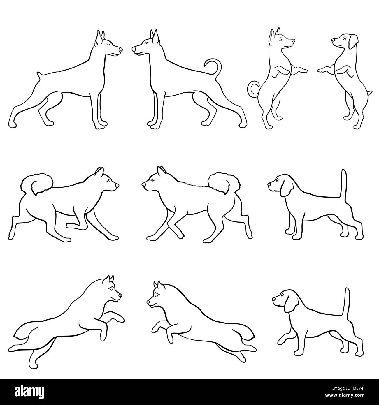 Set of ten hand drawing dog vector outlines over white background Stock ...