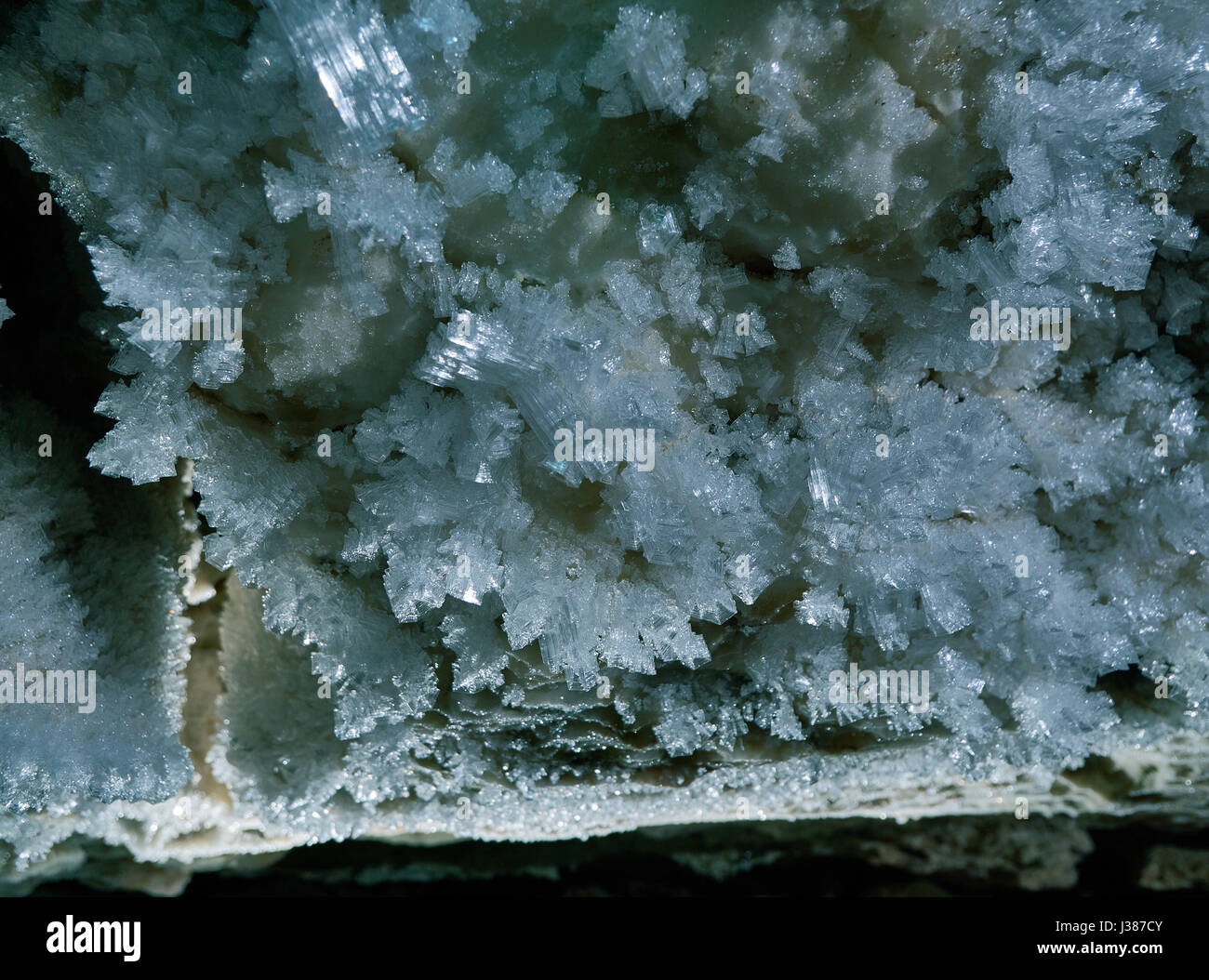 Ice stalactites. Cave in the Pinega region .Arhangelsk region Stock ...