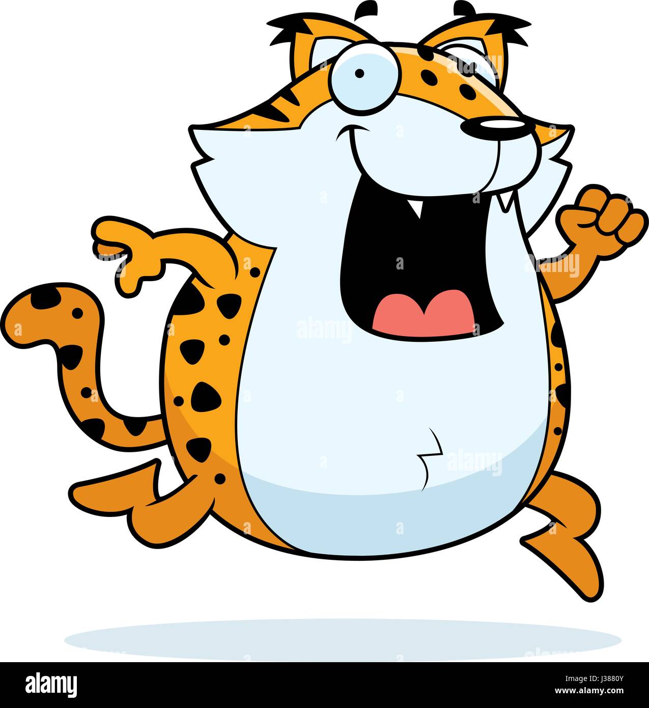 Bobcat running hi-res stock photography and images - Alamy