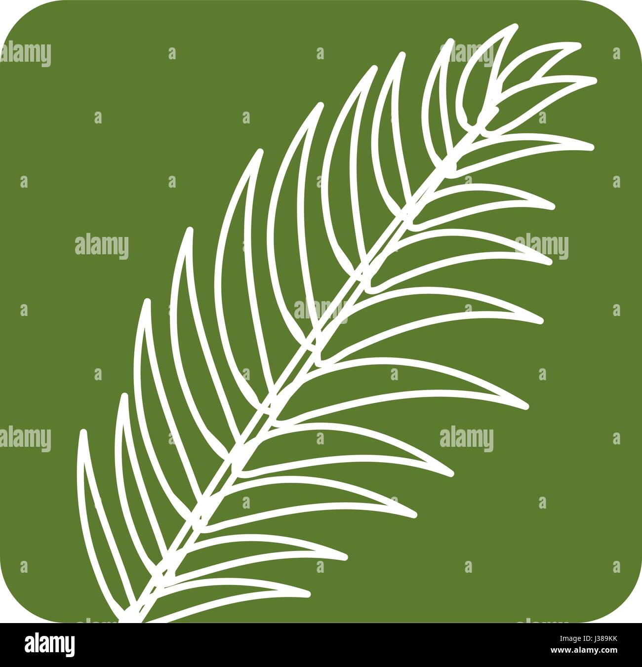 label tropical branch leaves plant Stock Vector Image & Art - Alamy